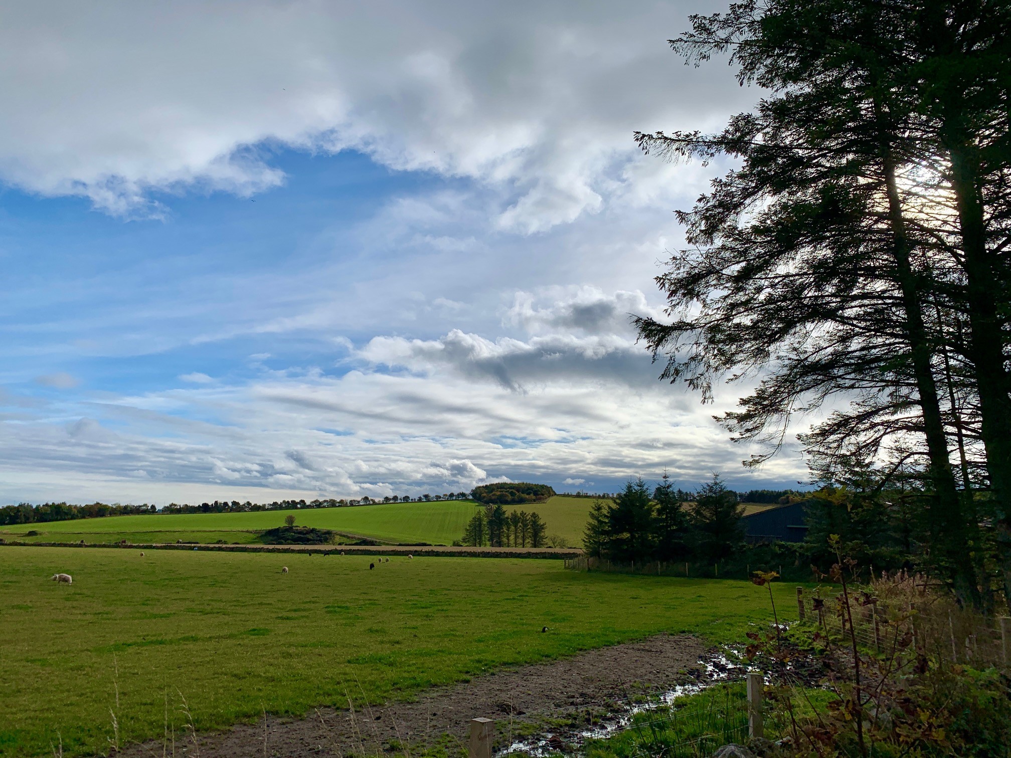 Young Explorers Hit the Chapelton Trail - Chapelton