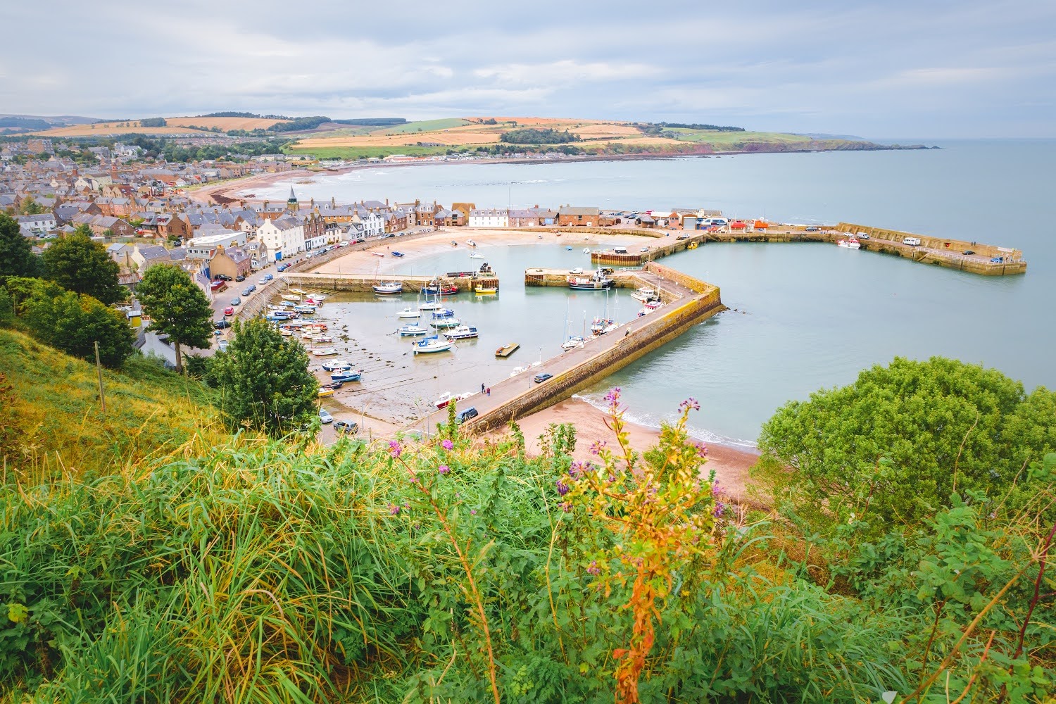 Springtime delights: 6 must-do activities in and around Stonehaven ...