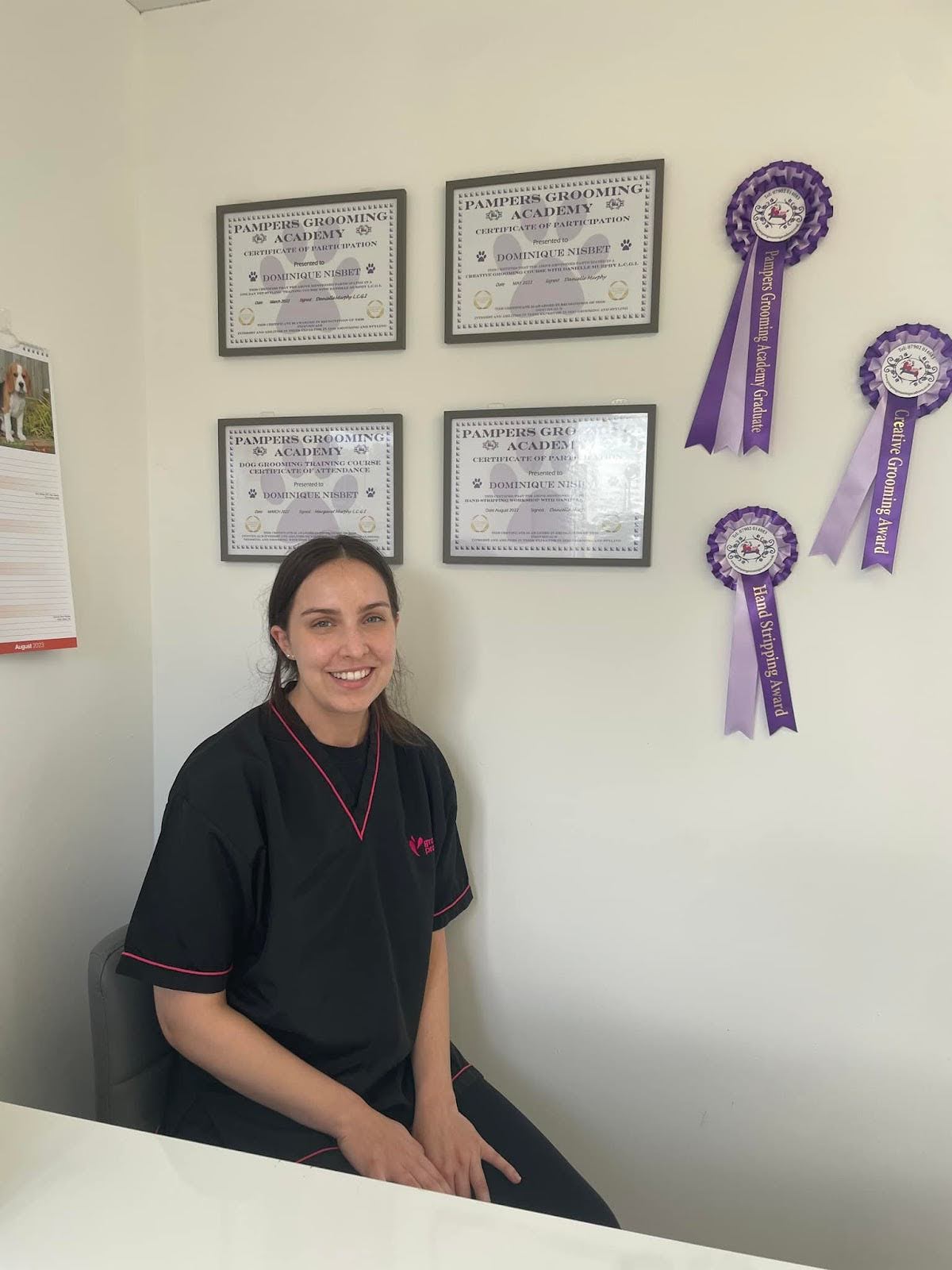 Dom's Dog Grooming: Give your pooch the ultimate health and grooming ...